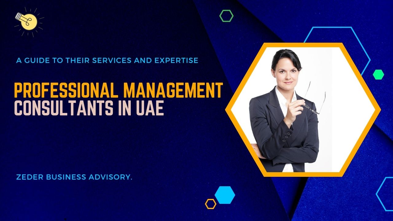 Professional Management Consultants in UAE: A Guide to Services